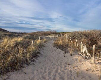 Cape cod landscape | Etsy