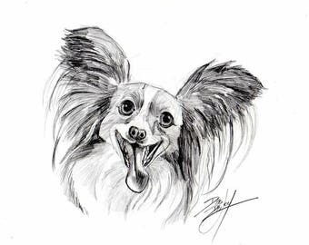 Papillon drawing | Etsy