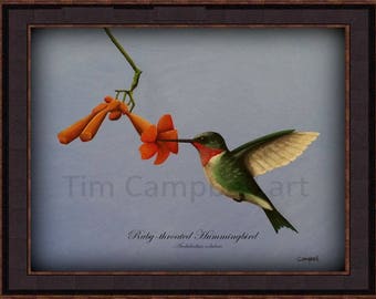 Tim Campbell by TimCampbellArt on Etsy