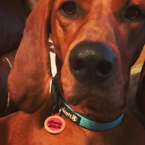 Cheeky Fun Dog ID Tags for Funny Pets by BadTags on Etsy