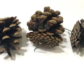 Pine cone ornament | Etsy