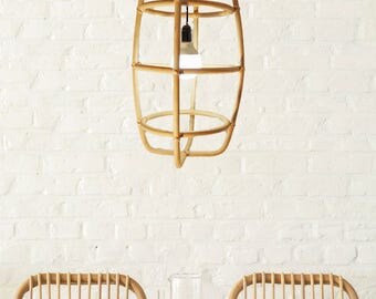 Monsoon Floral Ceiling Lampshade/Hand Painted Ceiling