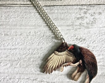 Turkey Buzzard Vulture at Sunset in the Florida Everglades A