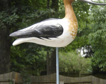 American avocet | Etsy