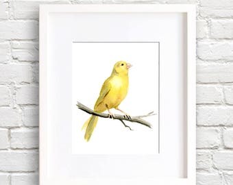 Canary painting | Etsy