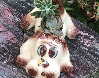 Indoor dog house | Etsy