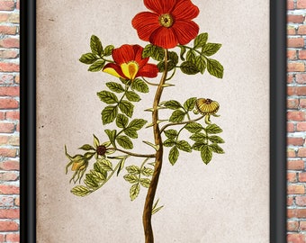 Primitive printables | Etsy