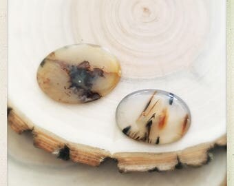 Wood burned stone fossil sea glass exotic by ASheepintheWoods