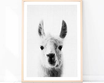 Llama art print | Etsy