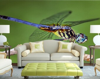 Insect decals | Etsy