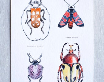 Peinture insecte | Etsy