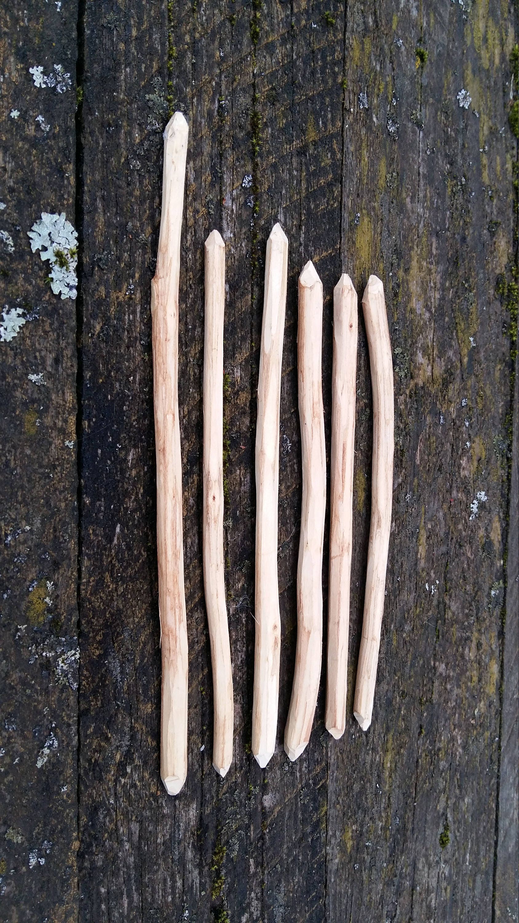 Rowan wand natural rowan tree wood sticks mountain ash tree