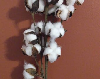 Cotton bouquet | Etsy