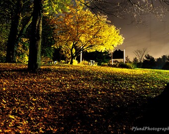 Fall scene | Etsy