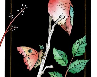 Hummingbird moth | Etsy