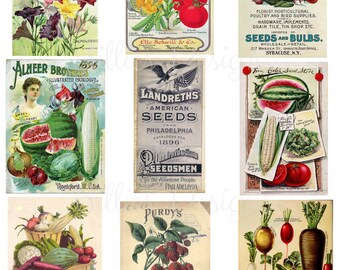 Seed packet template | Etsy