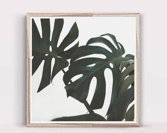 Monstera print | Etsy