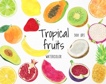 Fruit clipart Fruit clip art pineapple banana orange mango