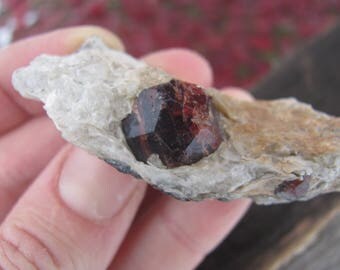 Garnet in matrix | Etsy