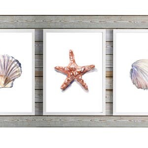 Shell art | Etsy