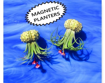 Magnetic planter | Etsy