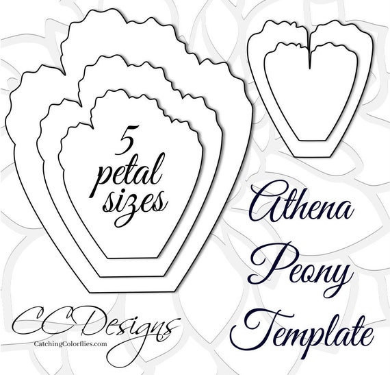 Giant Paper Peonies Printable PDF Flower Templates Peony PDF 