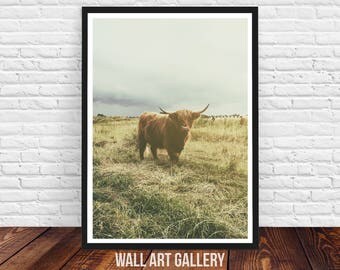 Buffalo poster | Etsy