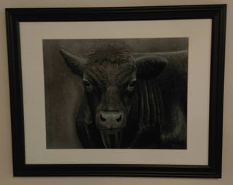 Angus cow | Etsy