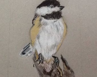 Chickadee drawing | Etsy