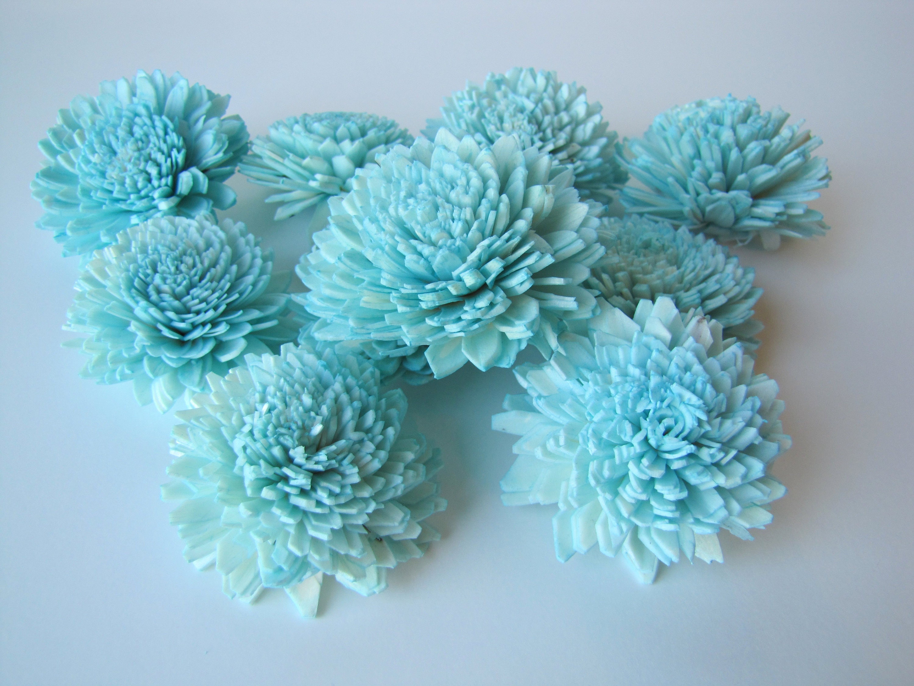 Turquoise Blue Zinnia Sola Flowers - SET OF 10