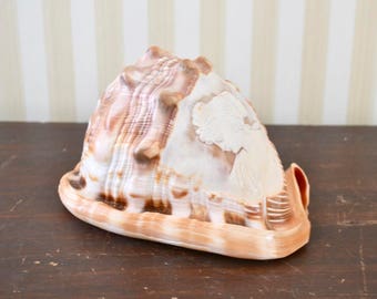 Carved conch shell | Etsy