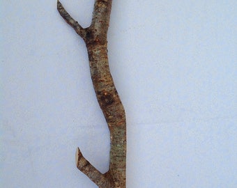 Tree branch hanger | Etsy