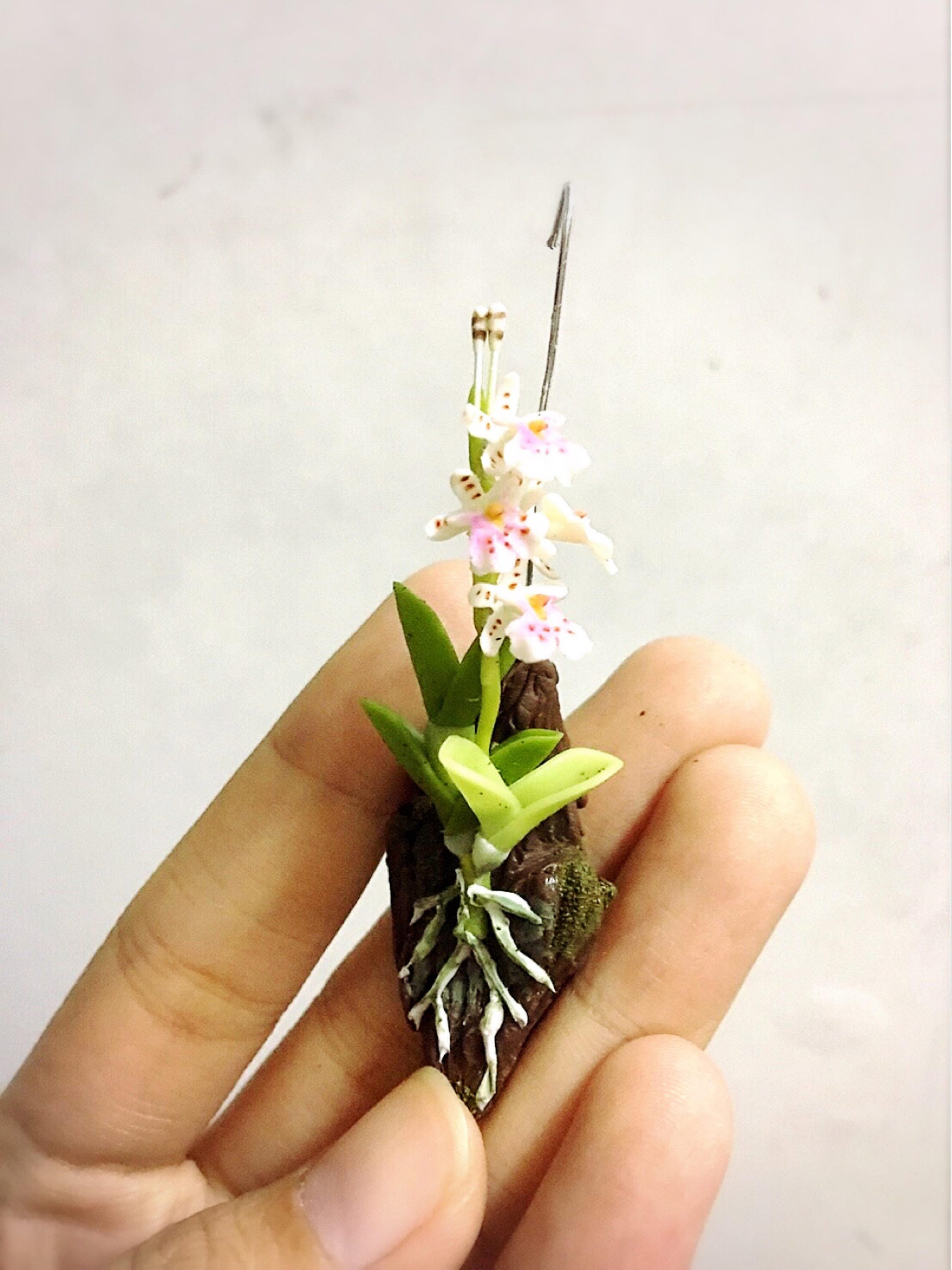 Miniature Orchid Flower Miniature Flower Orchid Flower
