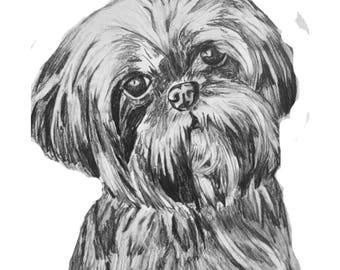 Custom pet drawing | Etsy