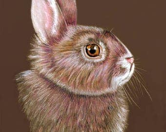 Bunny rabbit art | Etsy