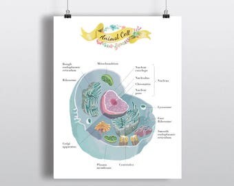 Microbiology poster | Etsy