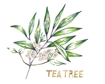 Small wall art | Etsy