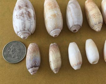 Lettered olive | Etsy