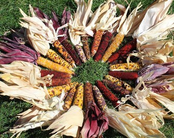 Selu Cherokee Native American Corn goddess 8x10 fine art print