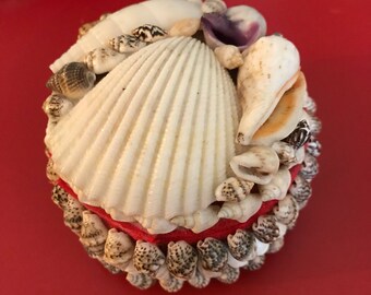 Seashell trinket box | Etsy