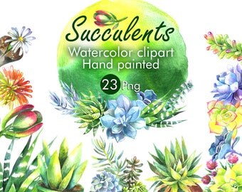 Succulent bouquet | Etsy