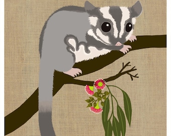 Sugar glider art | Etsy