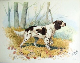 English Cocker Spaniel watercolor painting print by Slaveika