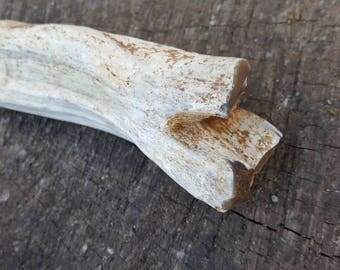 Agatized limb cast | Etsy