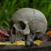 HUMAN SKULL REPLICA natural full size realistic replica made
