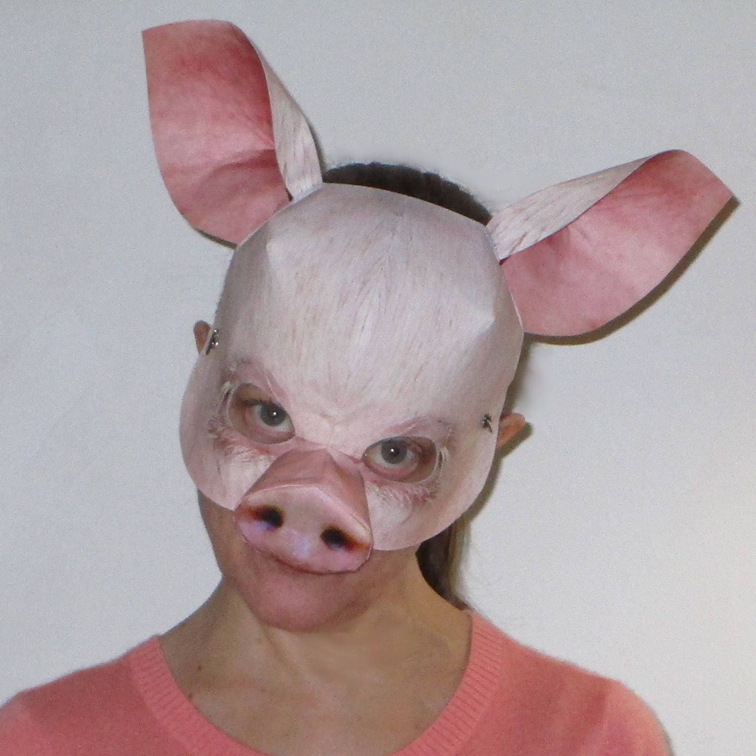 Pig mask Halloween mask animal mask masquerade mask