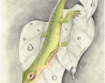 Reptile drawing | Etsy