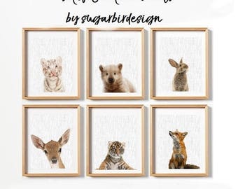 Baby animal decor | Etsy