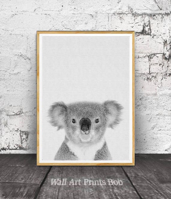 Koala Print Australian Animal Koala Bear Wall Art Nursery