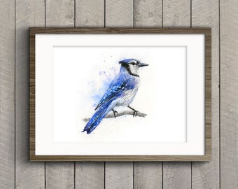 Blue jay art | Etsy